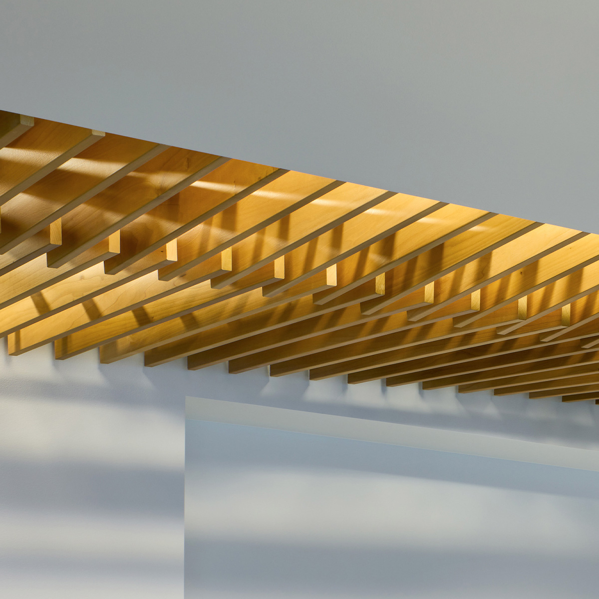 We create environments that enhance human potential | Flad Architects