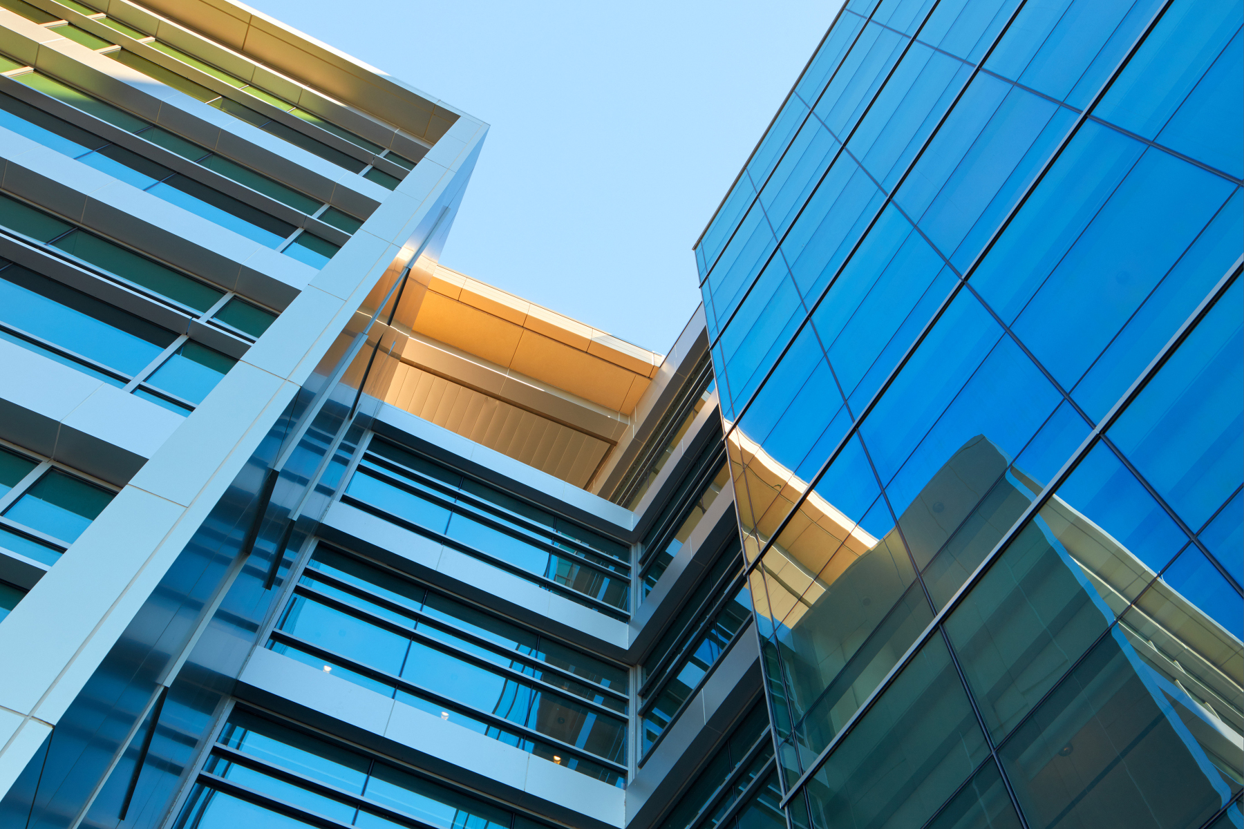 We create environments that enhance human potential | Flad Architects We create environments that enhance human potential | Flad Architects