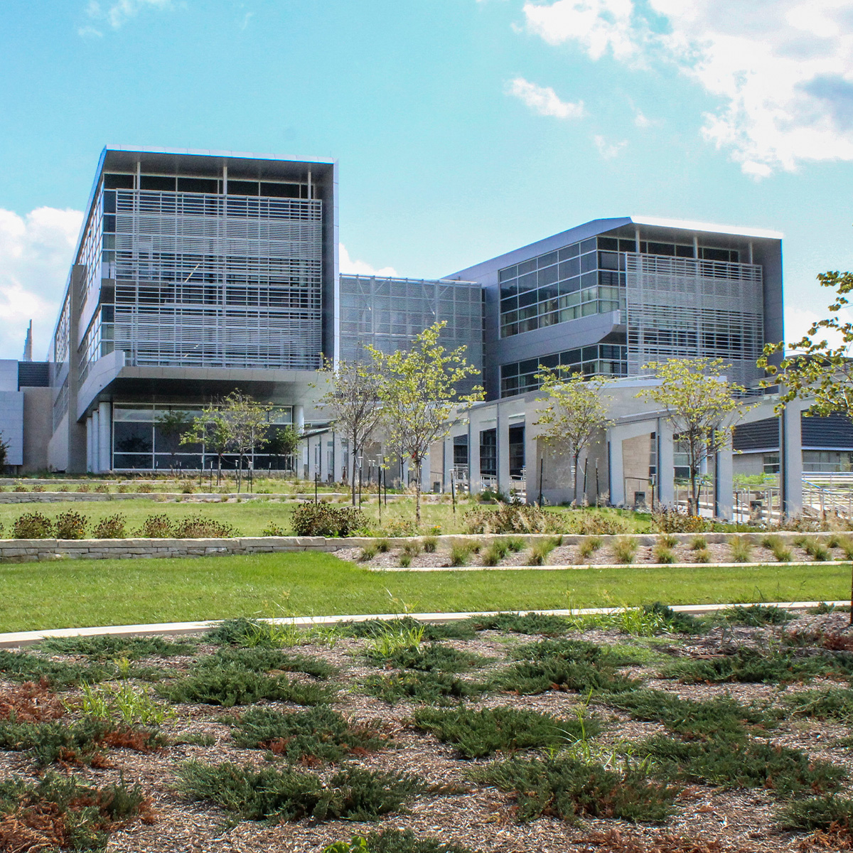 We create environments that enhance human potential | Flad Architects