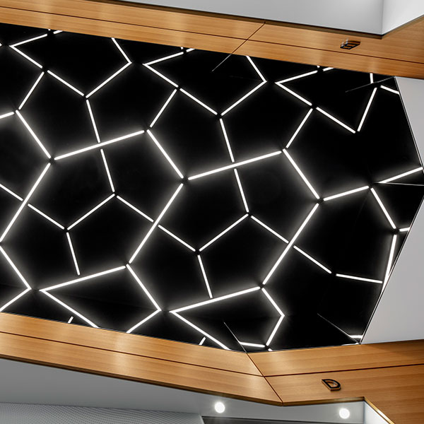 Building Cure Inspired By Art and Science | Flad Architects